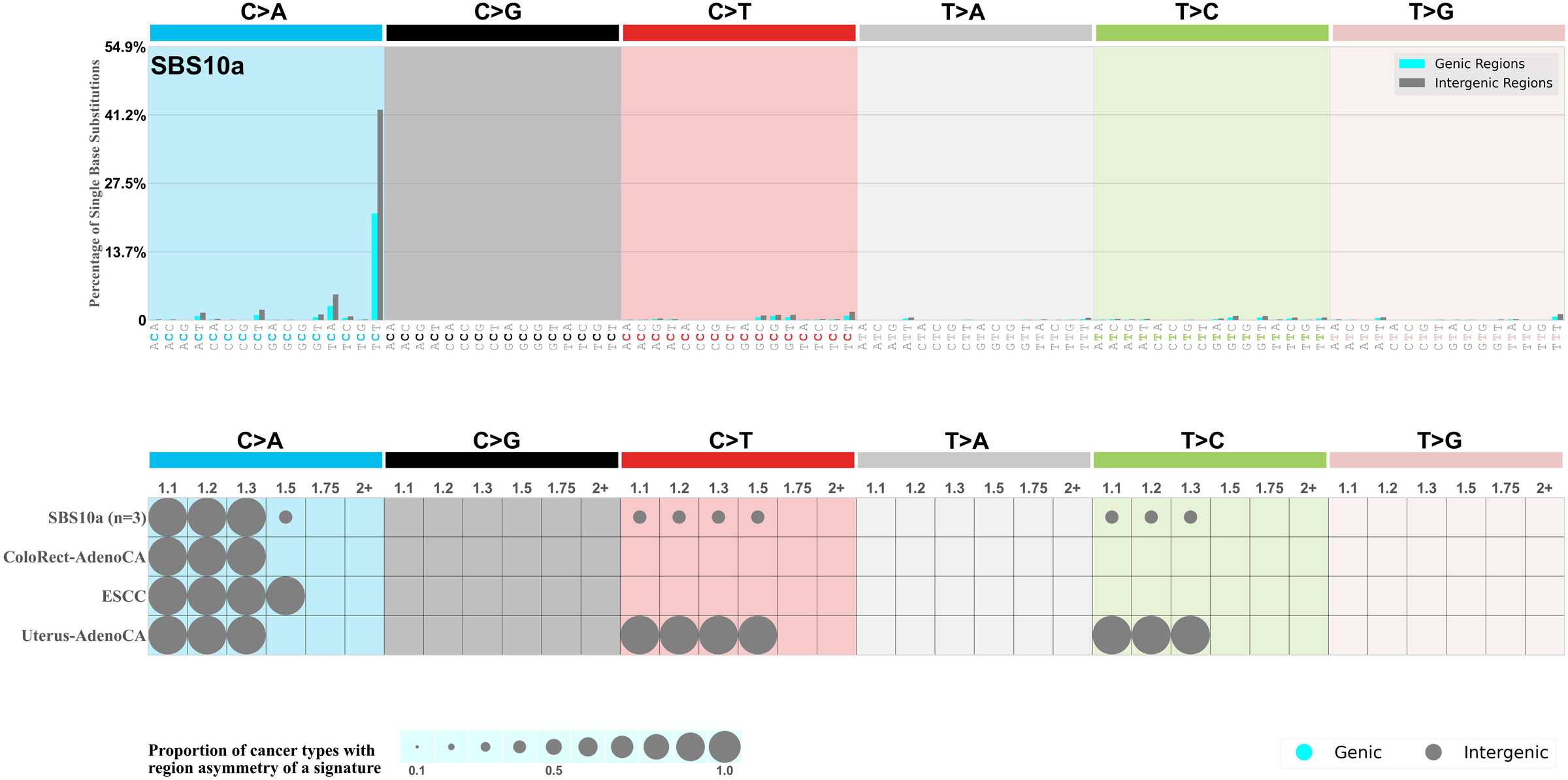 COSMIC | SBS10a - Mutational Signatures