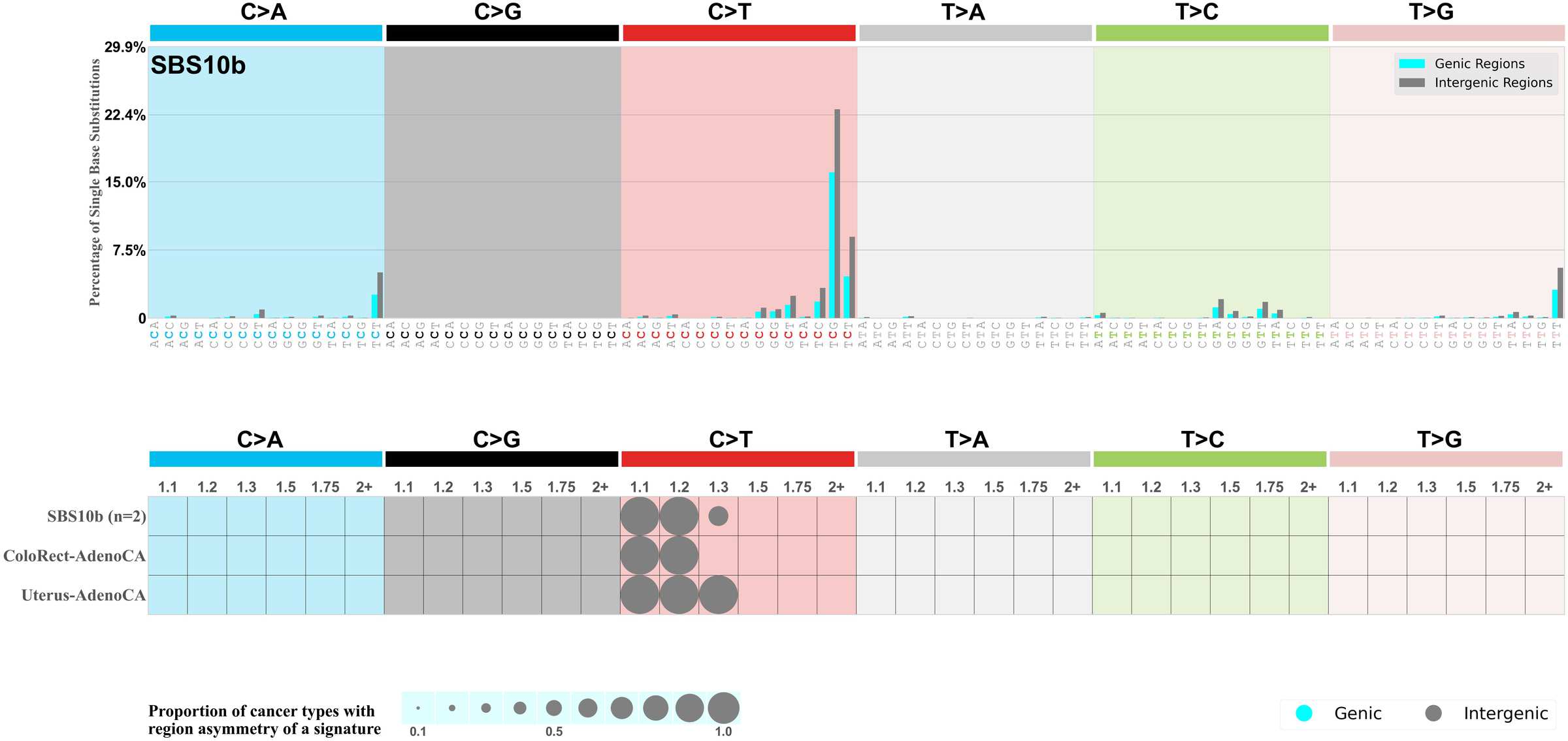 COSMIC | SBS10b - Mutational Signatures