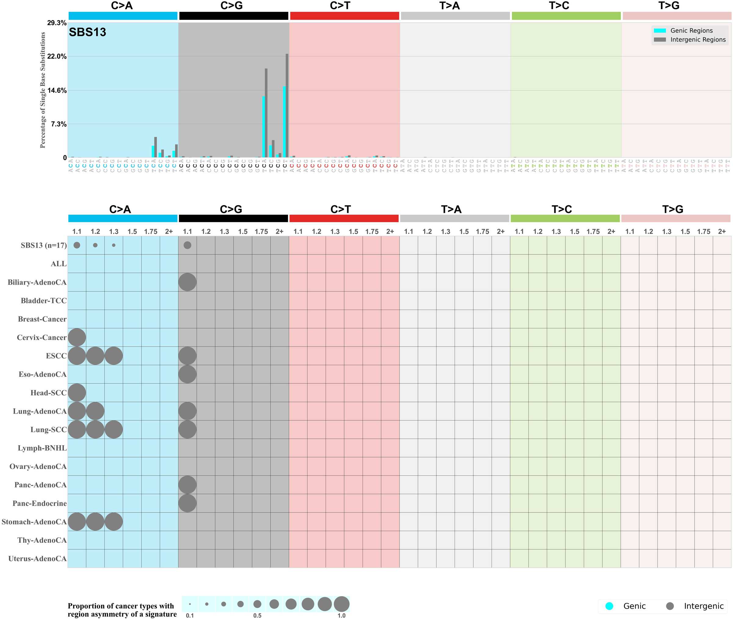 COSMIC | SBS13 - Mutational Signatures