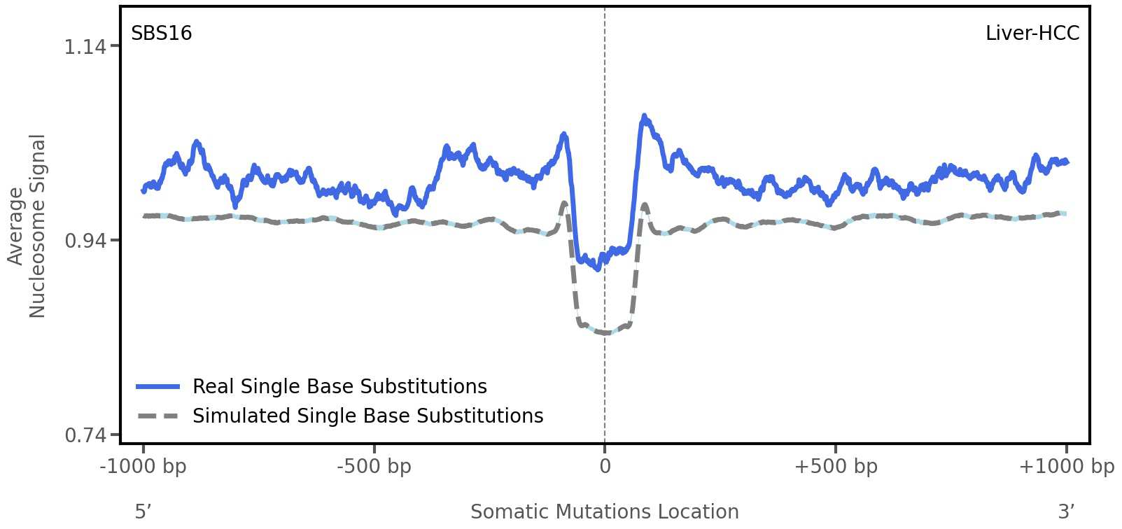 COSMIC | SBS16 - Mutational Signatures