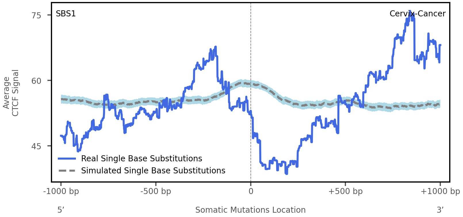 COSMIC | SBS1 - Mutational Signatures