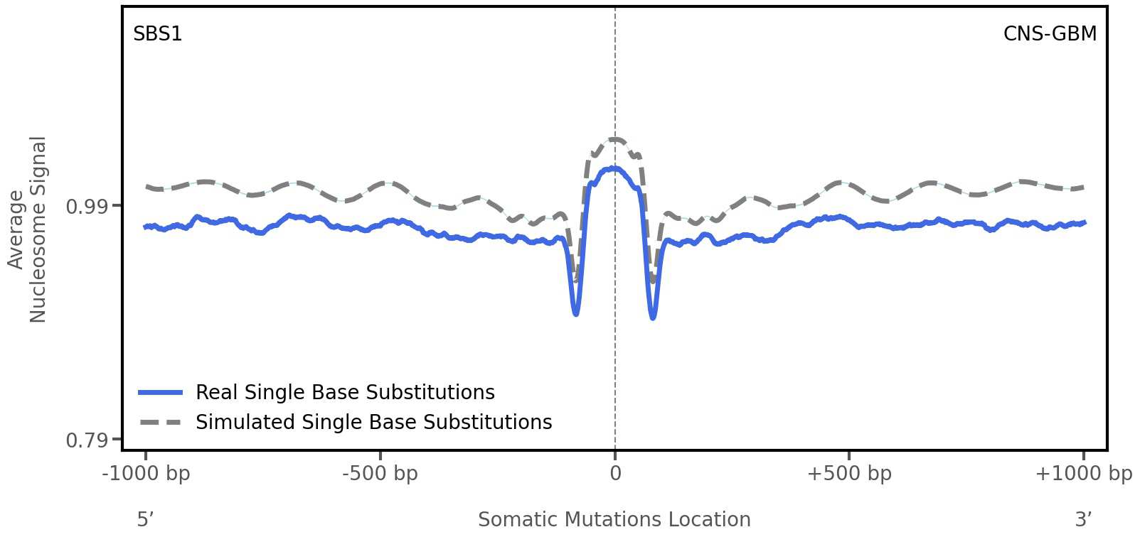 COSMIC | SBS1 - Mutational Signatures
