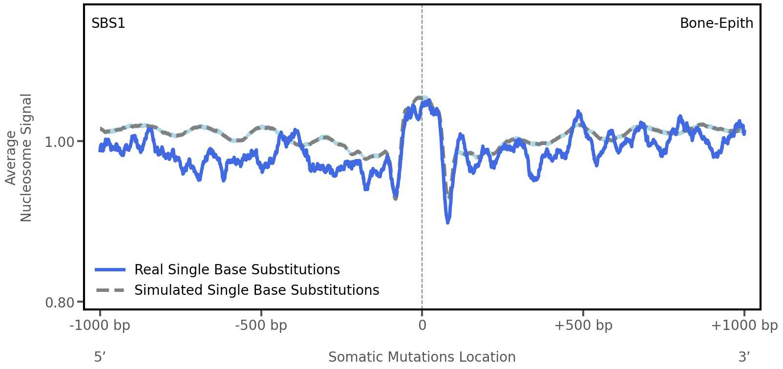 COSMIC | SBS1 - Mutational Signatures