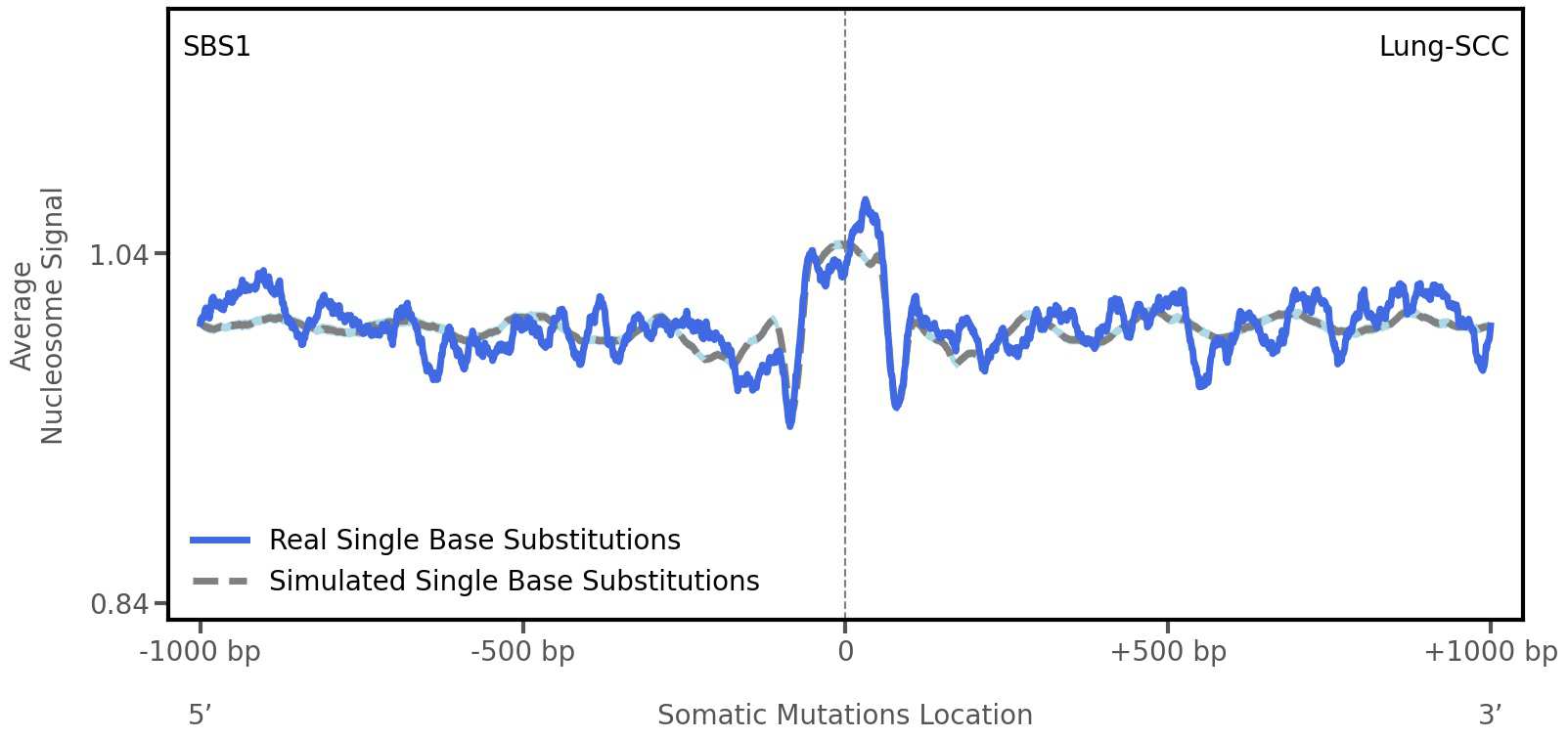COSMIC | SBS1 - Mutational Signatures