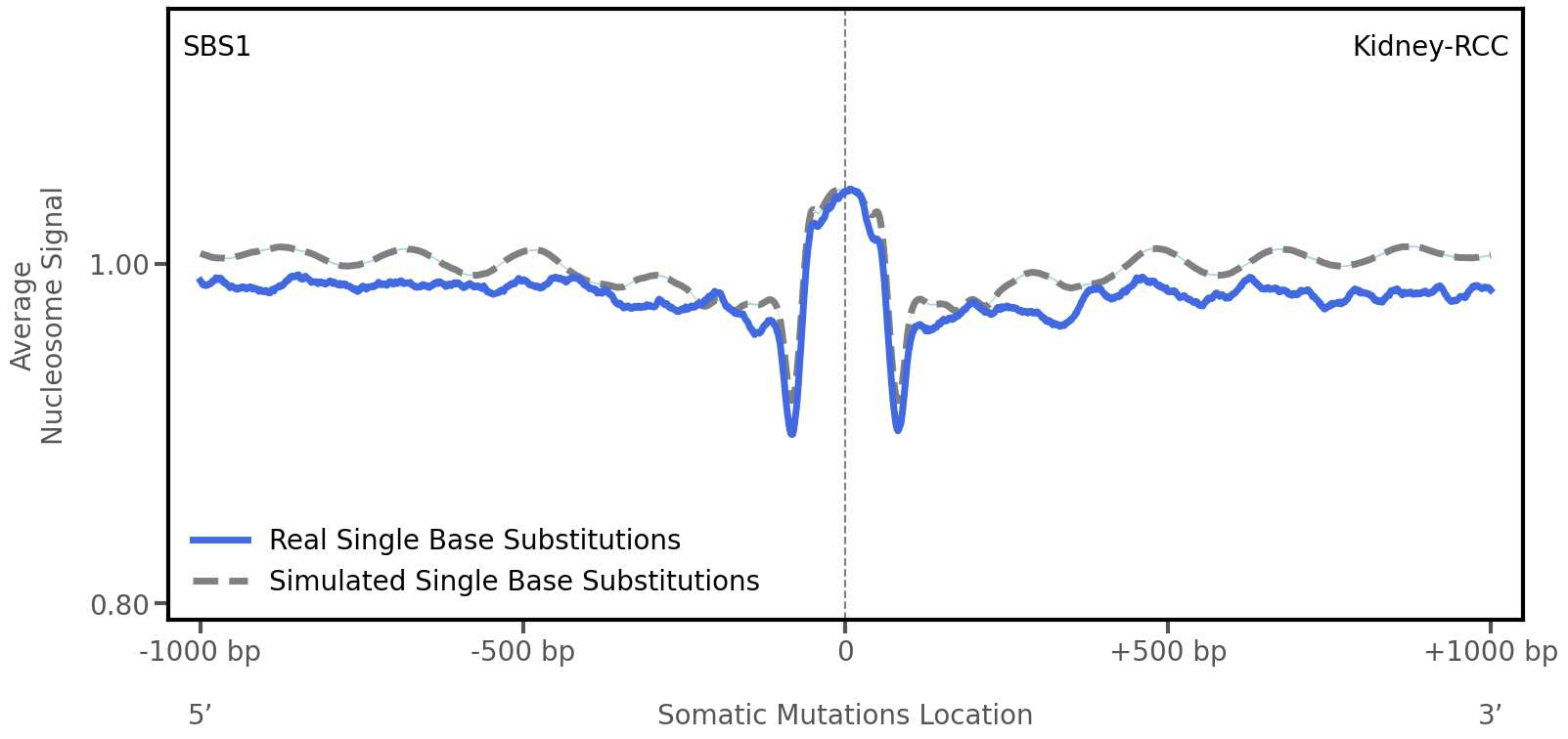 COSMIC | SBS1 - Mutational Signatures