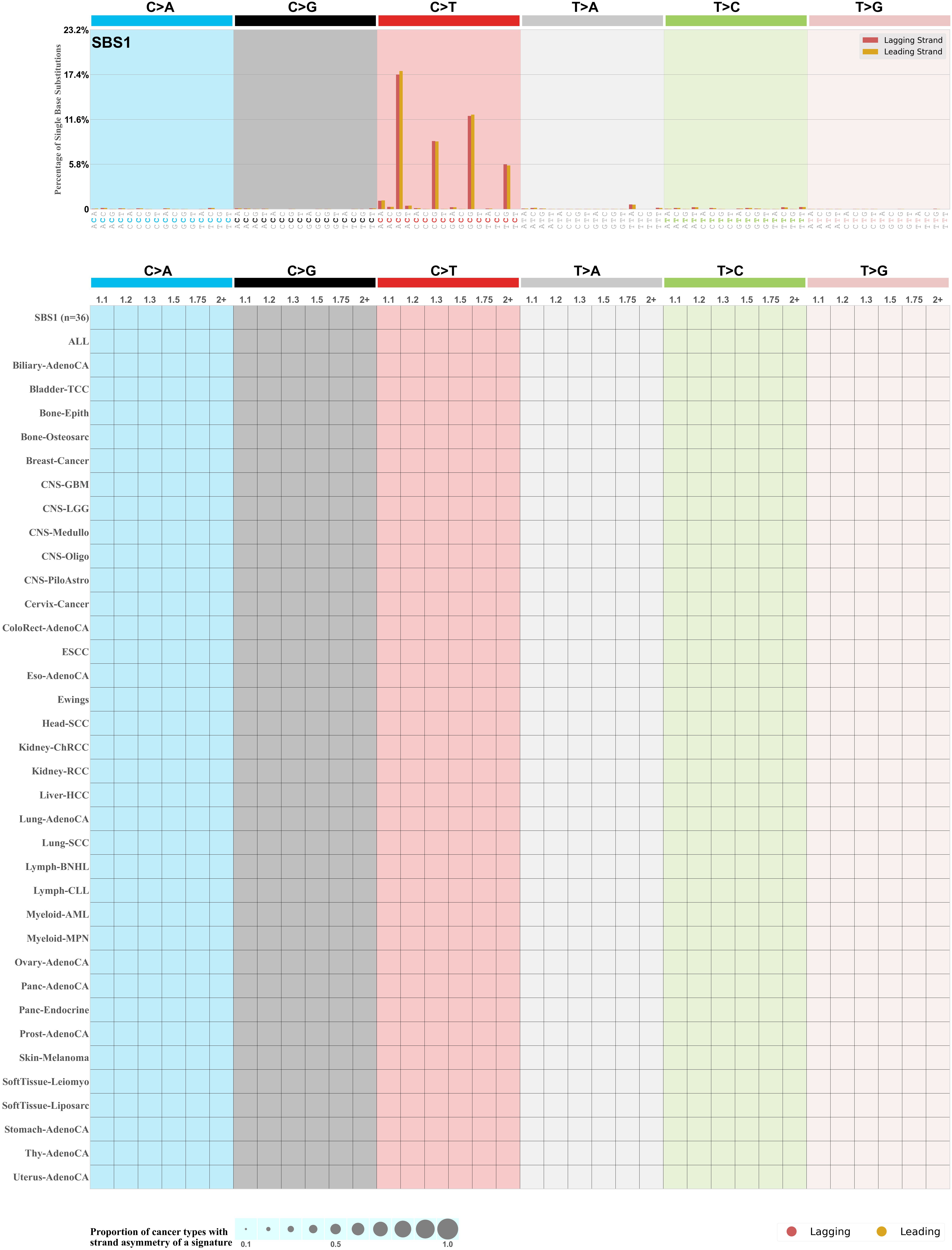 COSMIC | SBS1 - Mutational Signatures