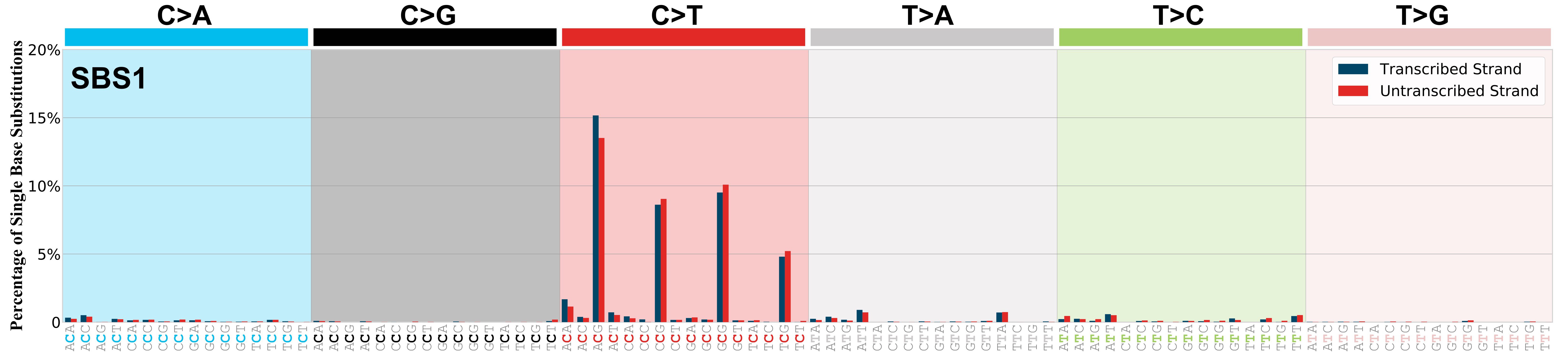 COSMIC | SBS1 - Mutational Signatures