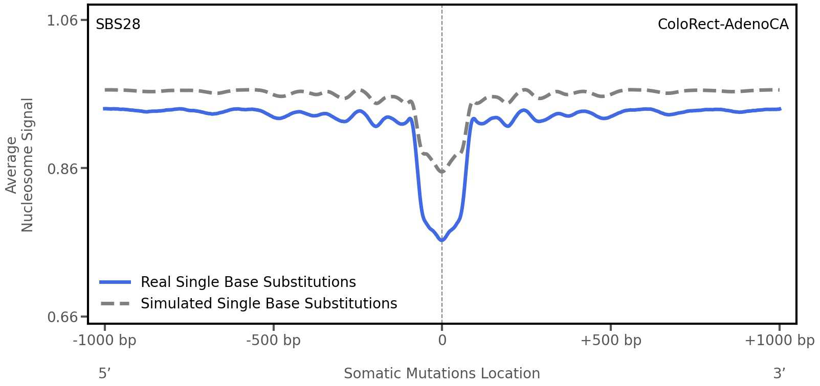 COSMIC | SBS28 - Mutational Signatures
