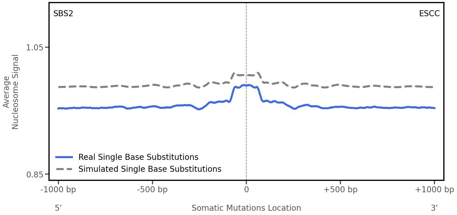 COSMIC | SBS2 - Mutational Signatures