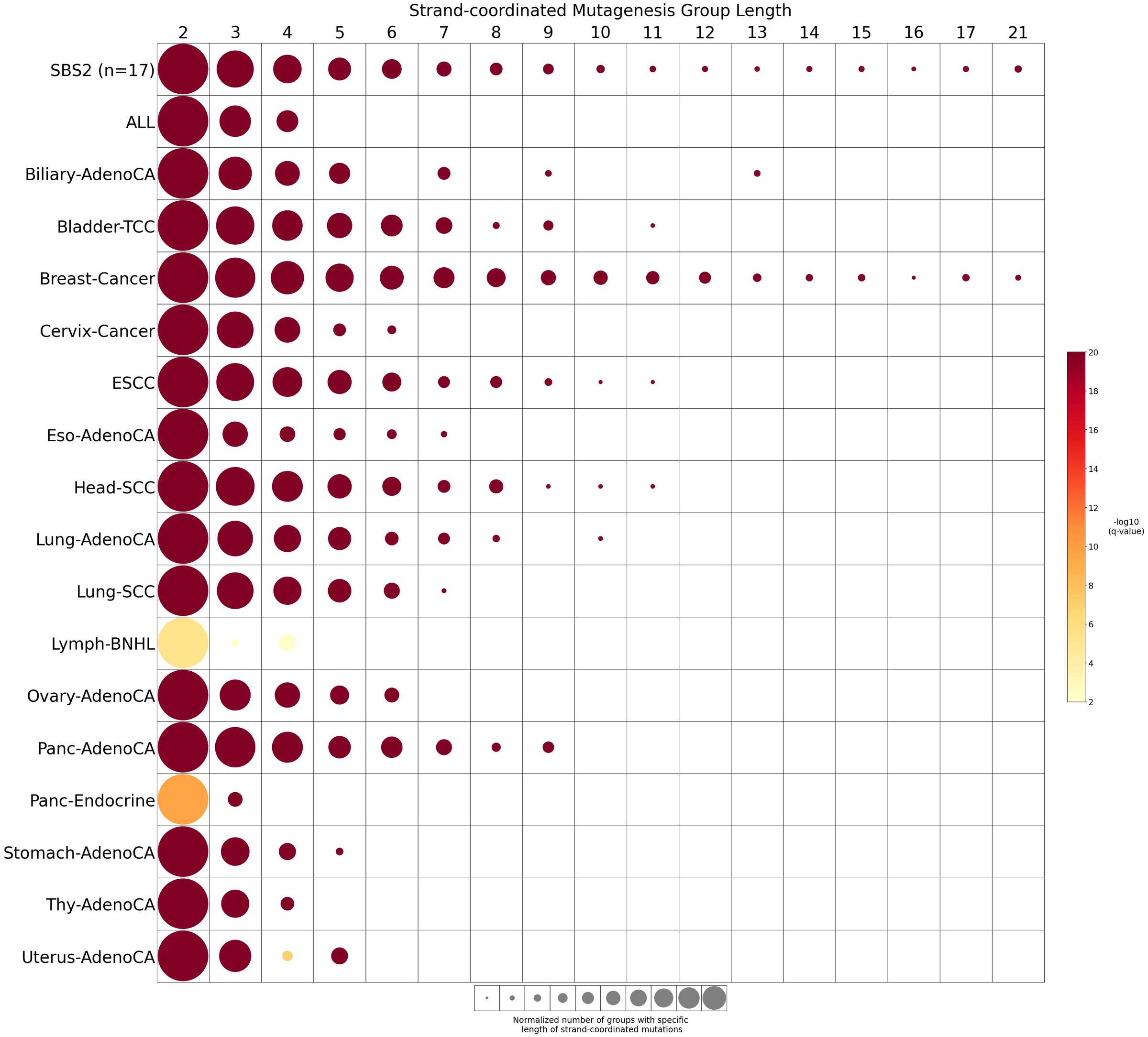COSMIC | SBS2 - Mutational Signatures