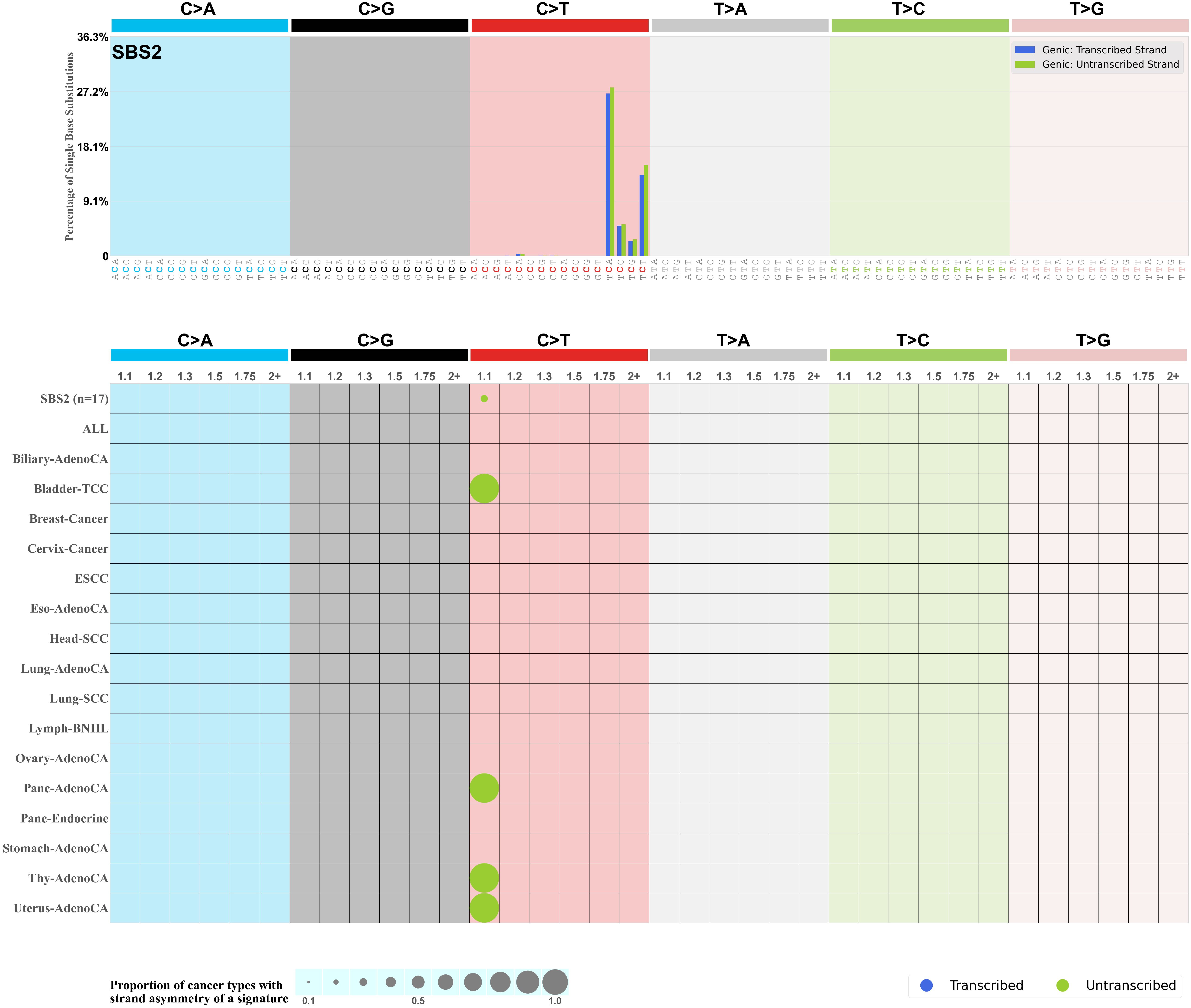 COSMIC | SBS2 - Mutational Signatures
