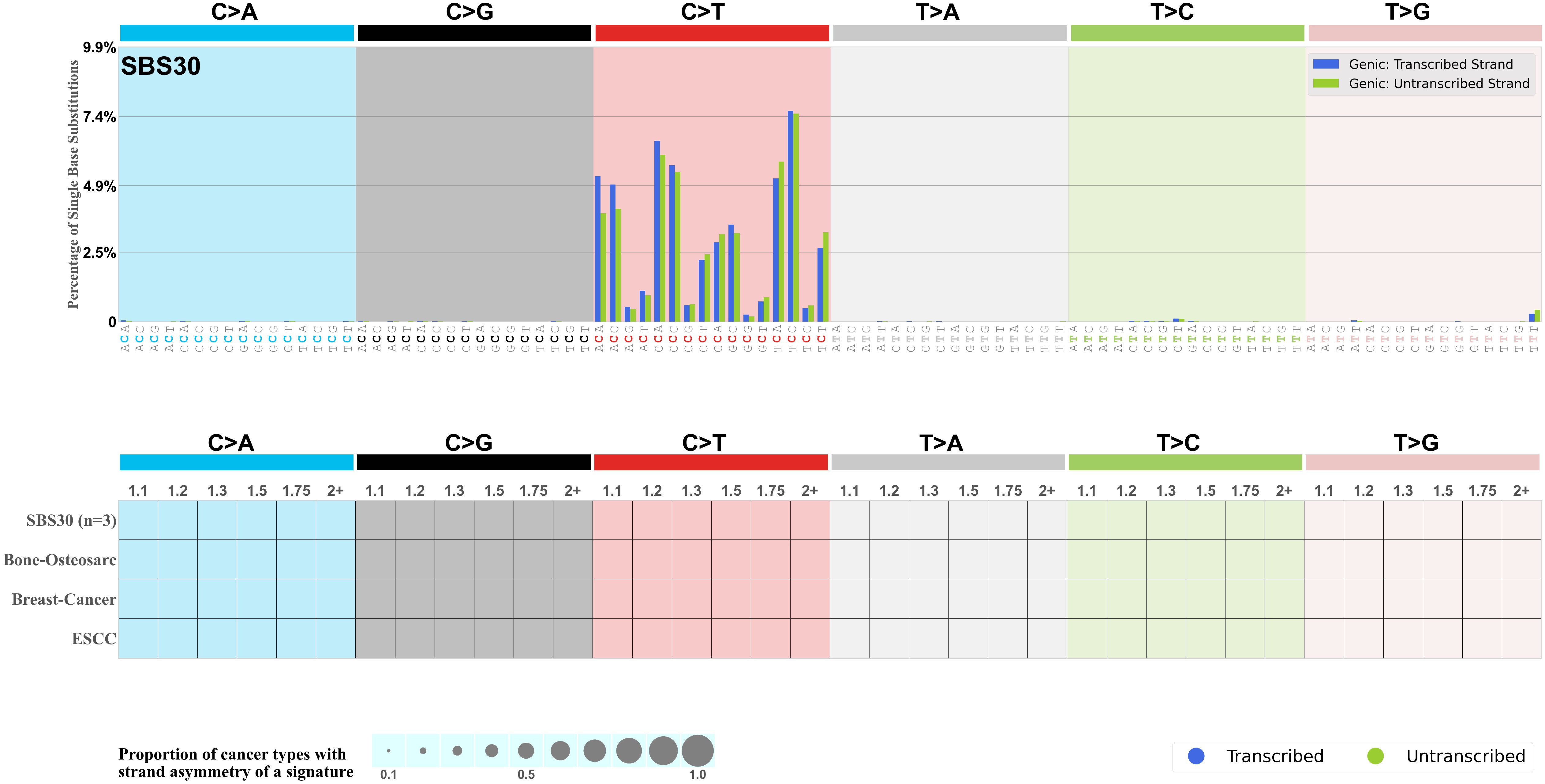 COSMIC | SBS30 - Mutational Signatures