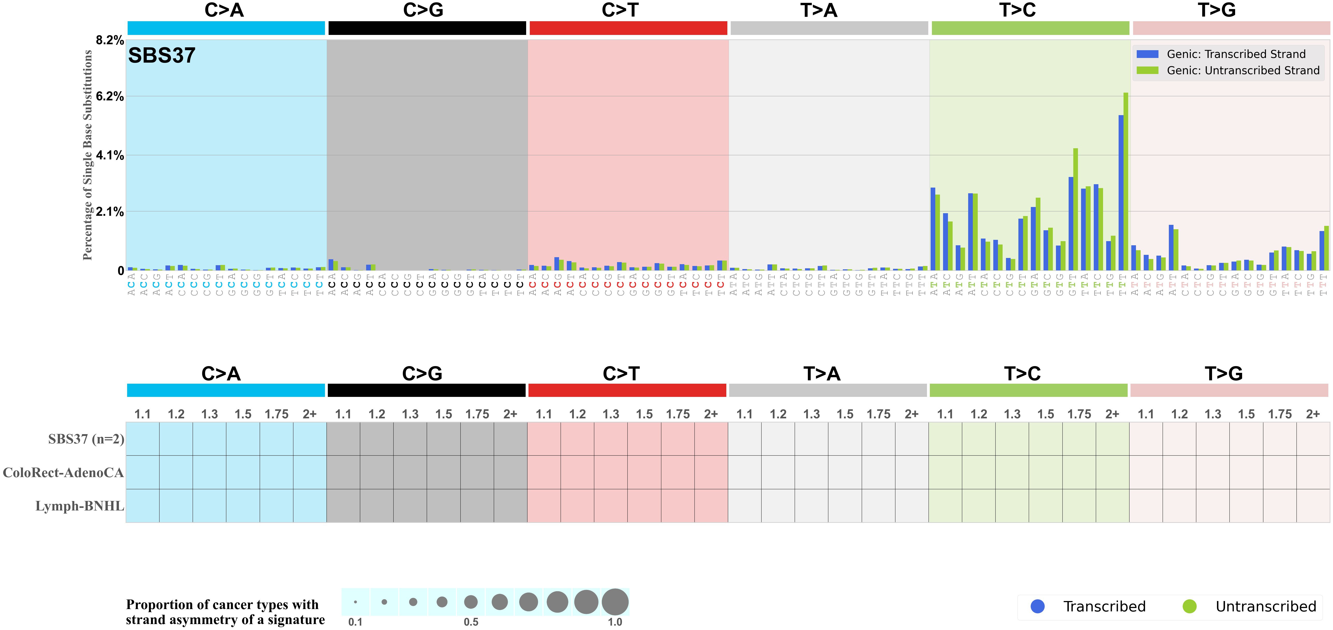 COSMIC | SBS37 - Mutational Signatures