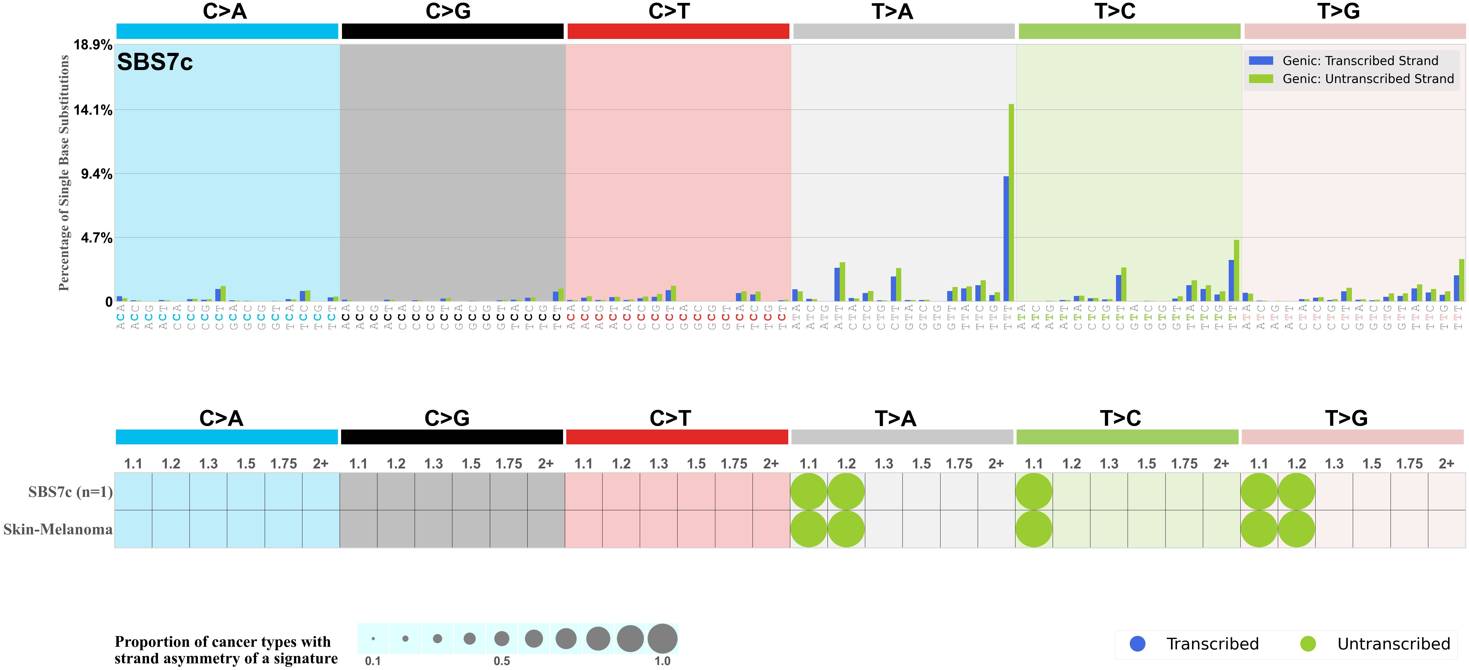 COSMIC | SBS7c - Mutational Signatures